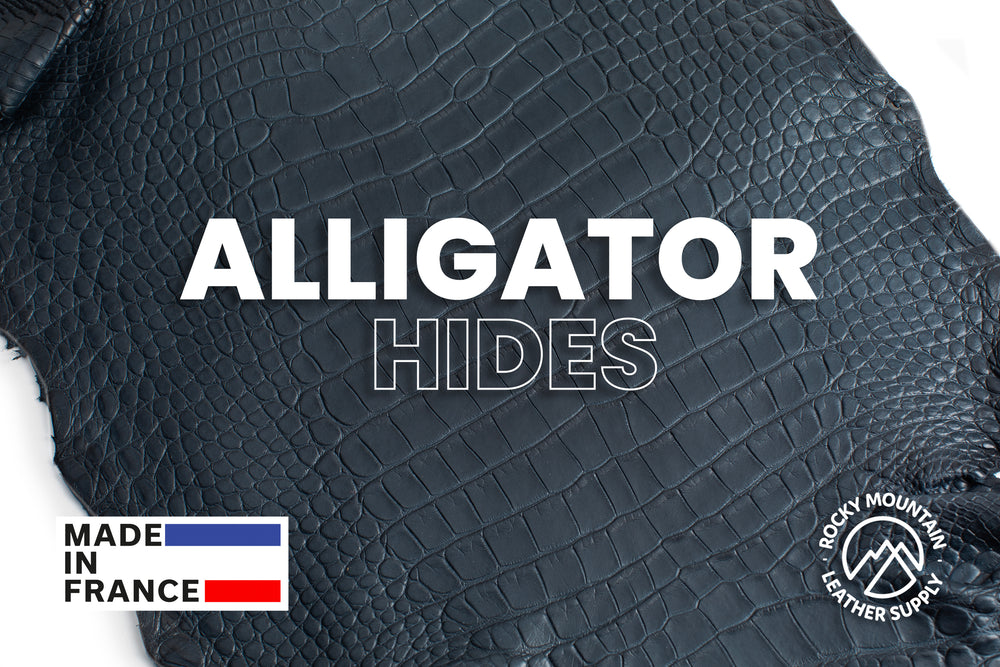 Discount - Alligator Hides