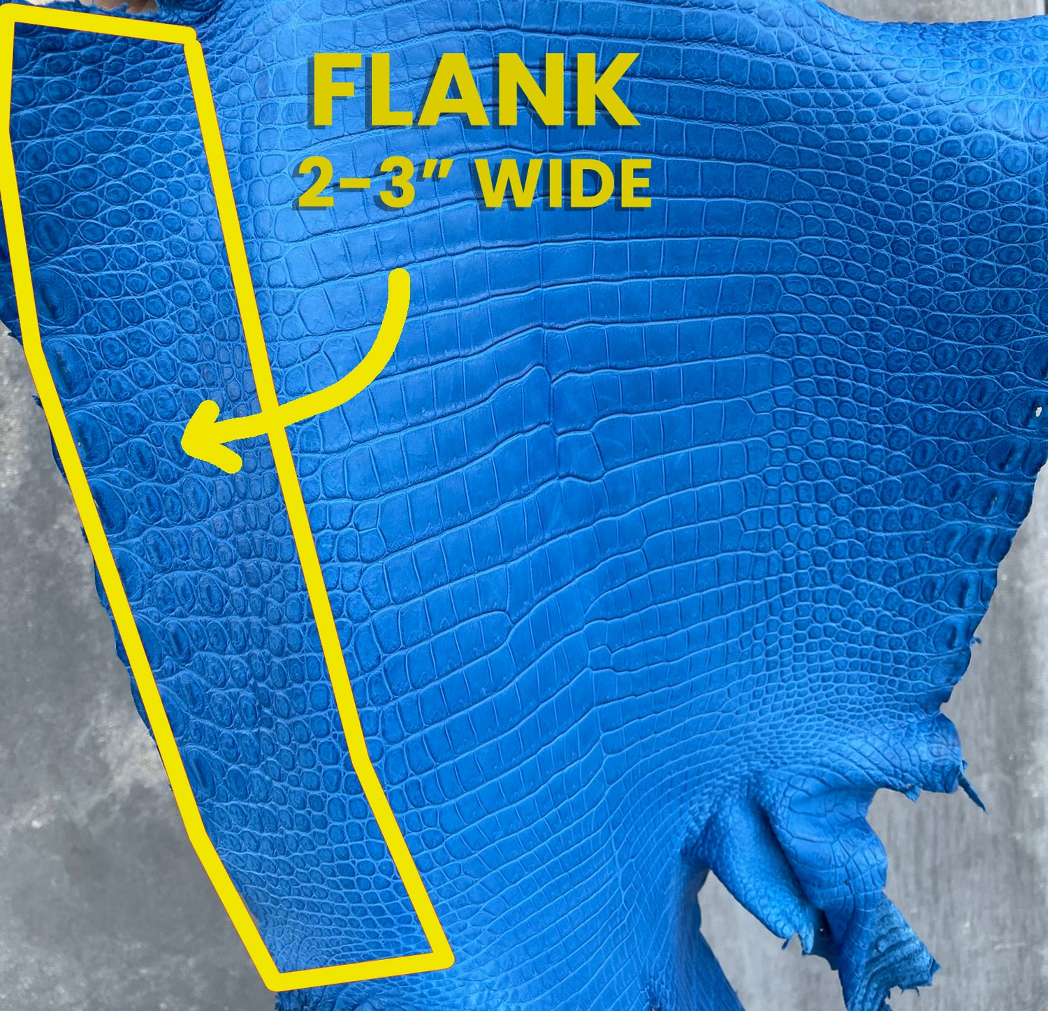 Overstock - American Alligator - Single Flank - 50% OFF