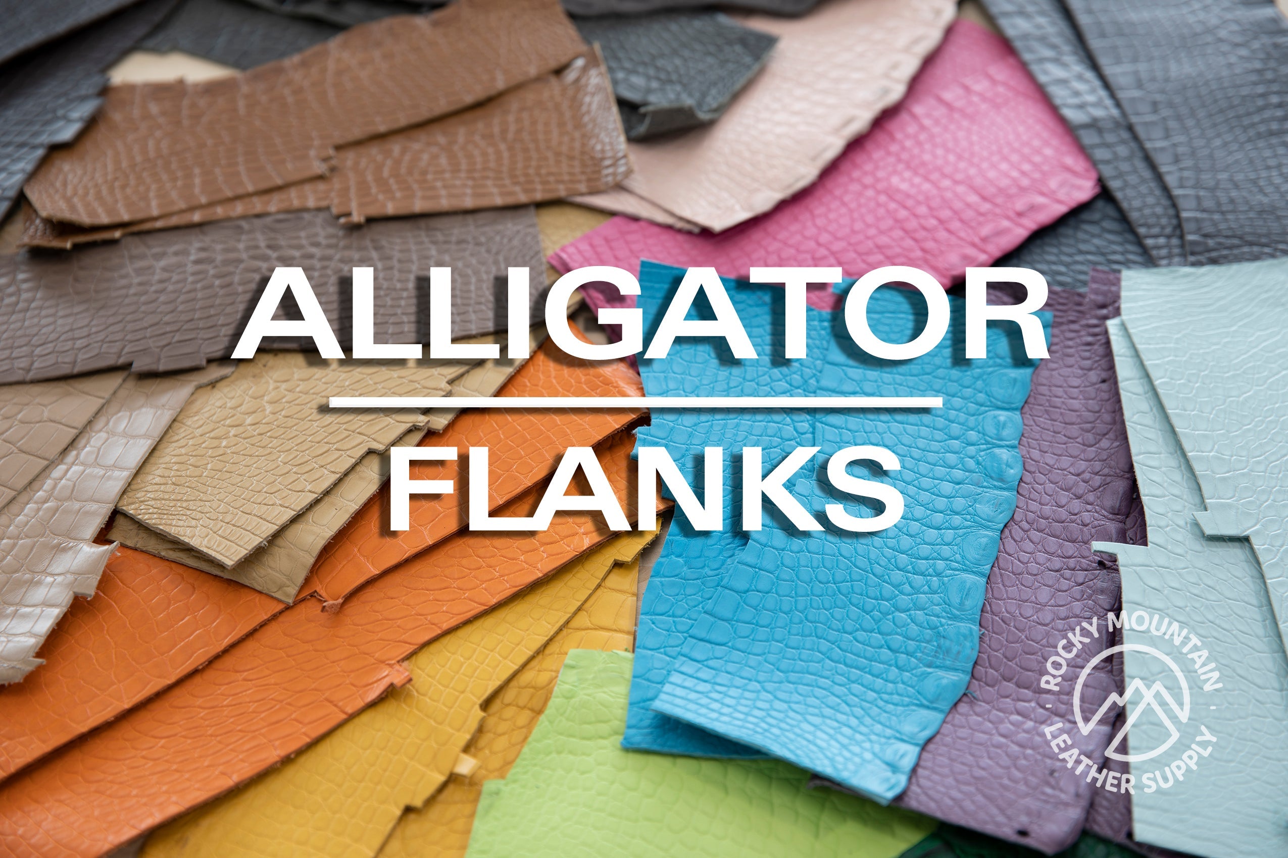 Overstock - American Alligator - Single Flank - 50% OFF