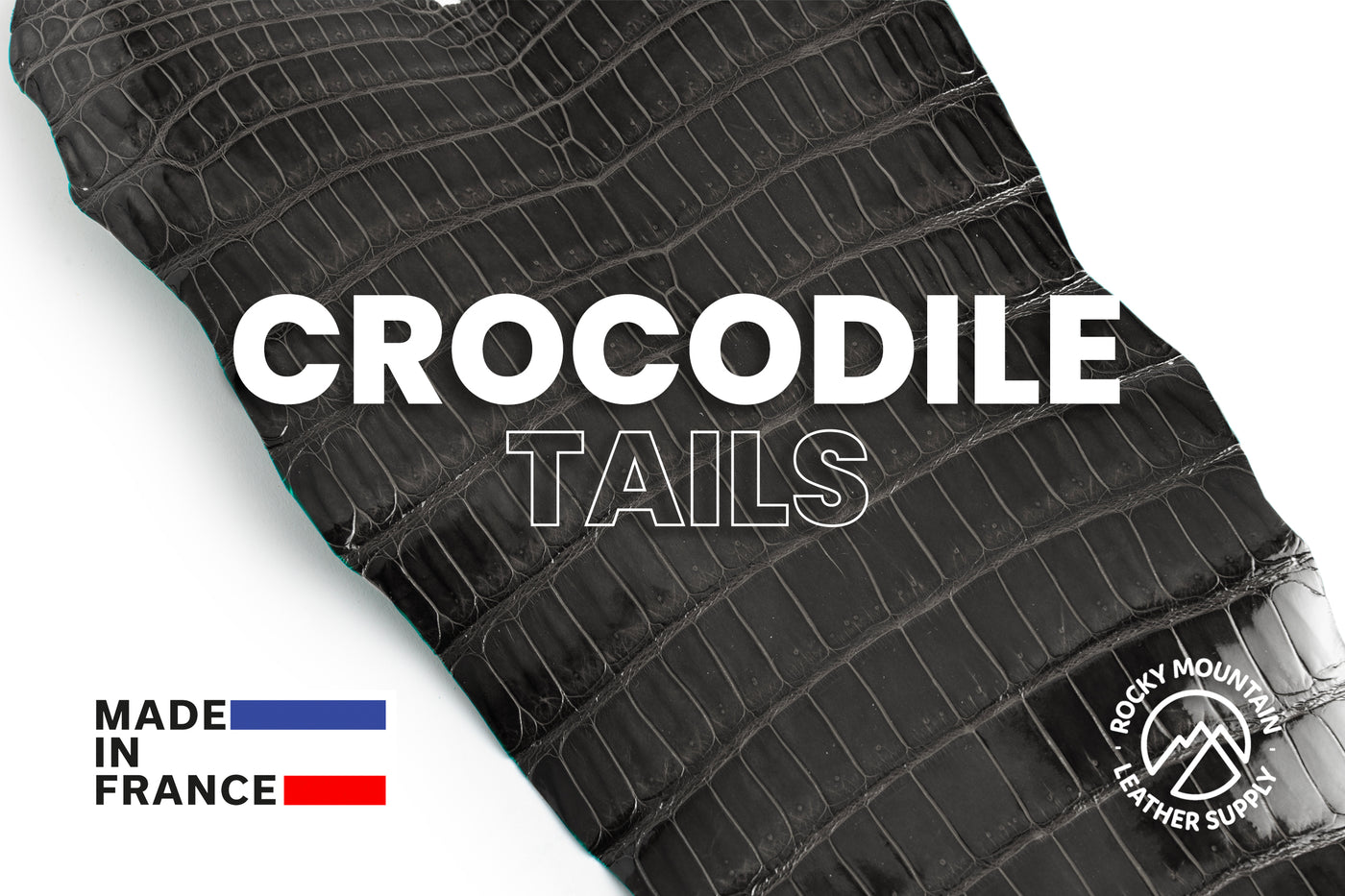 Porosus Crocodile Tails - Luxury Skins (Glazed Graphite) 40% OFF ...