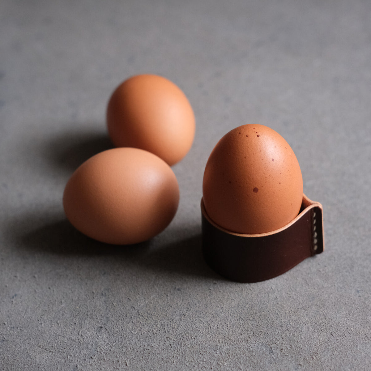 DS-063 The Plankton Projects Digital Pattern – Rocky Mountain Leather ...